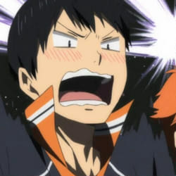 Haikyuu!! smash or pass these characters - Survey | Quotev