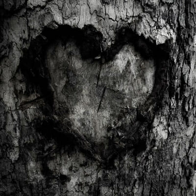 What Secret Does Your Heart Keep Hidden From Everyone? - Quiz | Quotev