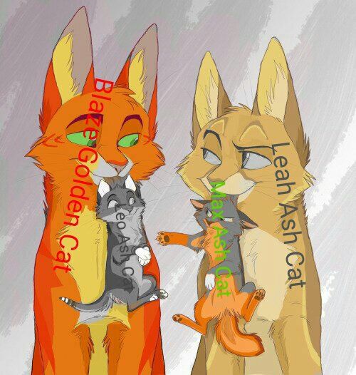 Leah Ash Cat | Quotev