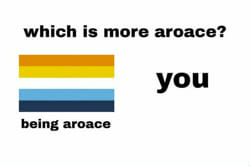 Guess The ARO/ACE Flags! - Test | Quotev