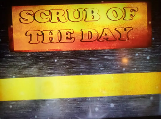 The randomest survey with the randomest images ever. - Survey | Quotev