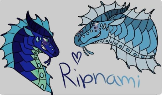 Wof Ship or Rip! - Survey | Quotev