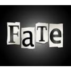 Let Fate Decide! - Quiz | Quotev