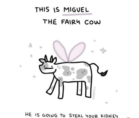 Pick some random ahh pics from my camera roll and get a cursed pic ...