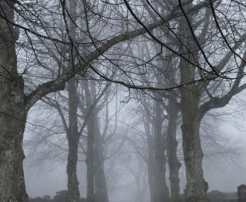 Are You More Like Augustine Or Winnie? - Cold Front - Quiz | Quotev