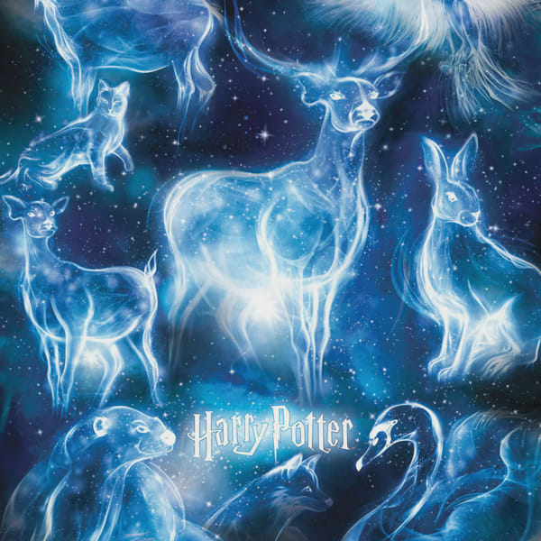 What is your Harry Potter Patronus? - Quiz | Quotev