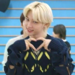 skz ot8 x reader poll - Survey | Quotev