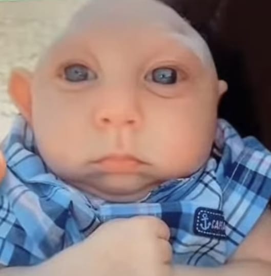 Published | Vixen | Quotev