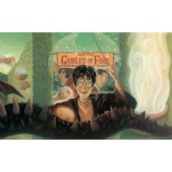 How well do you know the Goblet of Fire? [HARD] - Test | Quotev