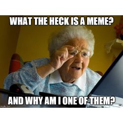 What meme are you? - Quiz | Quotev