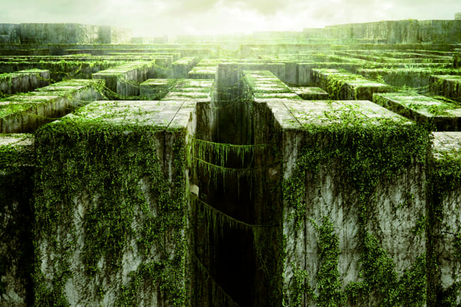 how well do you know the maze runner - Test