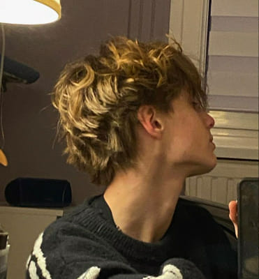 Which dsmp aesthetic fits you? - Quiz | Quotev