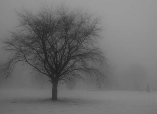 Are You More Like Augustine Or Winnie? - Cold Front - Quiz | Quotev