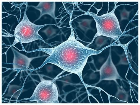 How Many Brain Cells Do You Have? - Test | Quotev