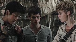 Maze Runner Boyfriend - Quiz | Quotev