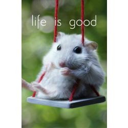 Cute or not cute? - Quiz | Quotev