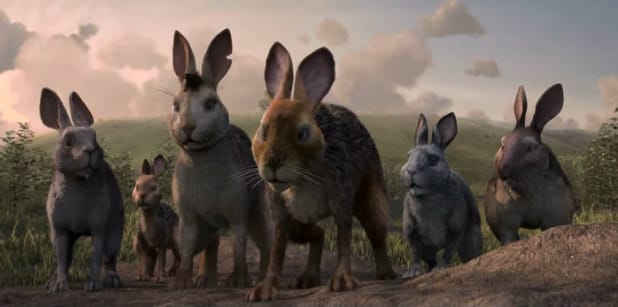 Which Watership Down character are you? - Quiz | Quotev