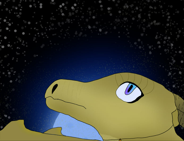 Starcatcher is the WOFU | Quotev