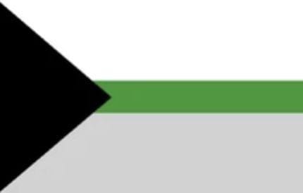How well do you know the pride flags (pt.3) - Test | Quotev