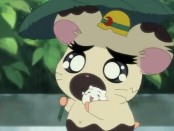 Hamtaro Oshare