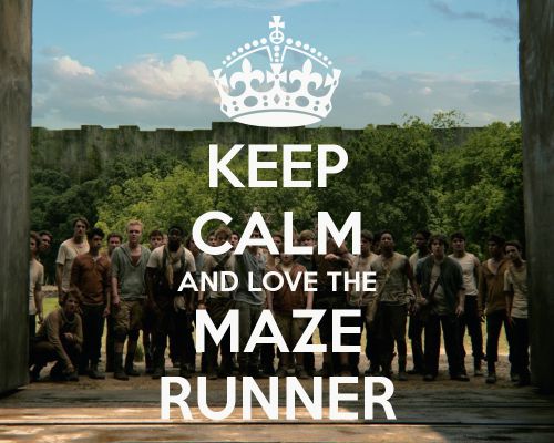 Your life in the maze runner..... (Long results) - Quiz | Quotev