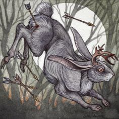 What Mythical Rabbit Are You? - Quiz | Quotev