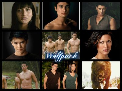 Twilight Wolf Pack Cast