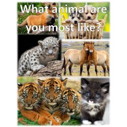 What animal are you most like? - Quiz | Quotev