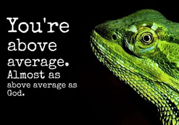 Choose Between Memes And Get A Reverse Harem Anime - Quiz | Quotev