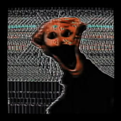 PHEN-228 - Quiz | Quotev