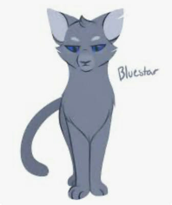 What Warrior Cats Clan Are You In? - Quiz | Quotev