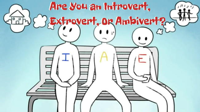 Are You an Extrovert, Introvert, or Ambivert? - Quiz | Quotev
