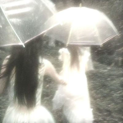 random questions... - Survey | Quotev