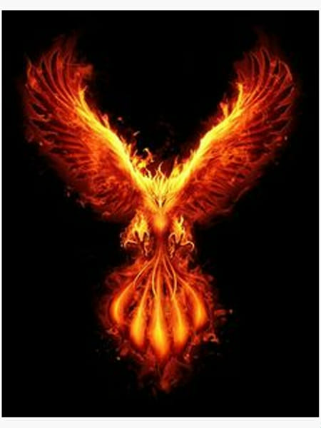 Pheonix | Quotev