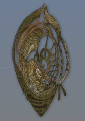 Na'vi Clan(Unofficial) - Quiz | Quotev