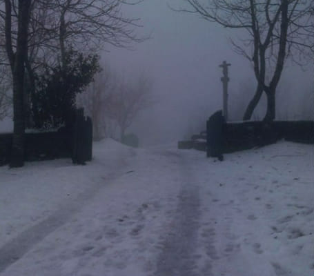 Are You More Like Augustine Or Winnie? - Cold Front - Quiz | Quotev