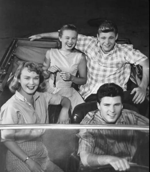 Pick out some things and get a 1950s teen idol to go steady with ...
