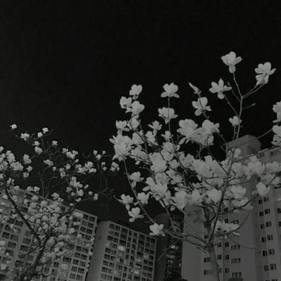 Journal | Layouts | Quotev