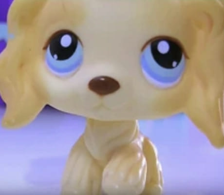 Which LPS are you? - Quiz | Quotev