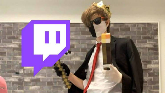 Become a Twitch Streamer with the DSMP - Quiz | Quotev
