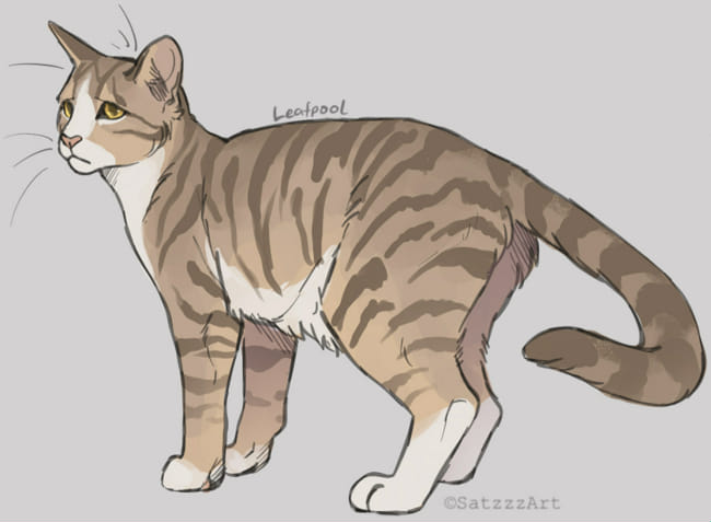 How well do you know Leafpool*Pretty easy* - Test