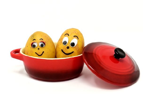 Are you a true POTATO? - Quiz | Quotev