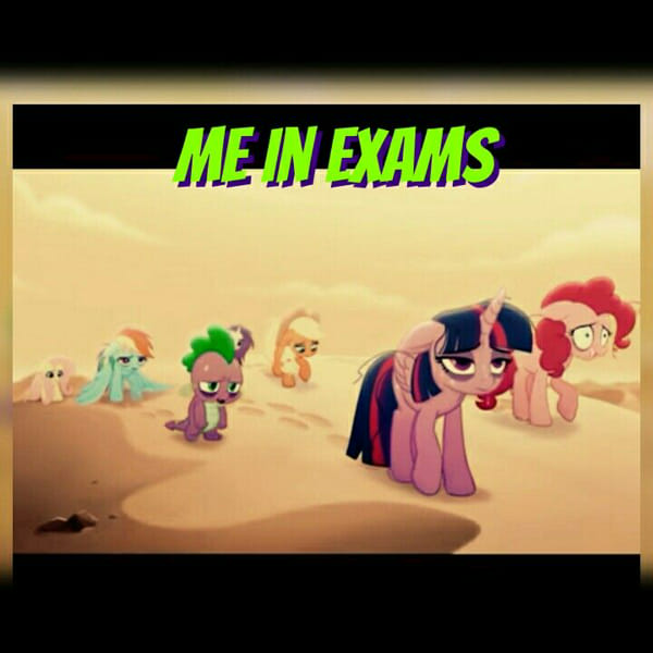 Mlp Character Quiz - Test | Quotev