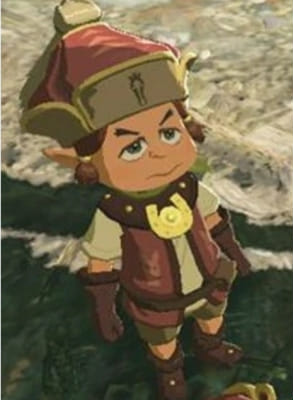 Guess the Botw NPC's - Test | Quotev