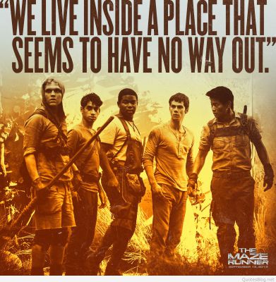 The Maze Runner: Letter To Newt (Girls only) - Quiz | Quotev