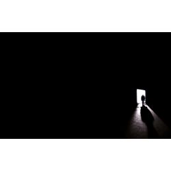 Which Option Is Better? (Would you rather-type game) - Test | Quotev