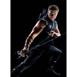 Avengers Fanfiction Clintasha