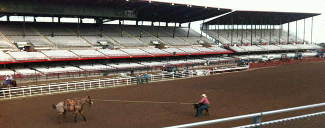 Rodeo Quiz... - Test | Quotev