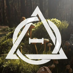 Otherhearted Quizzes | Quotev