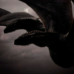 What dragon will you ride? (GOT&HOTD) - Quiz | Quotev